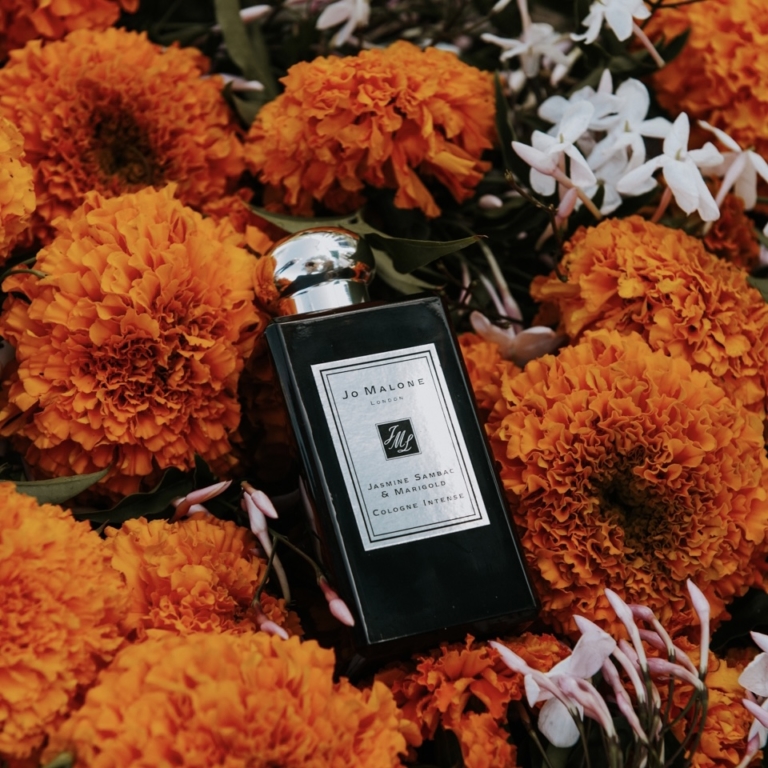 Nước hoa nữ Jo Malone London Jasmine Sambac & Marigold Cologne Intense ...